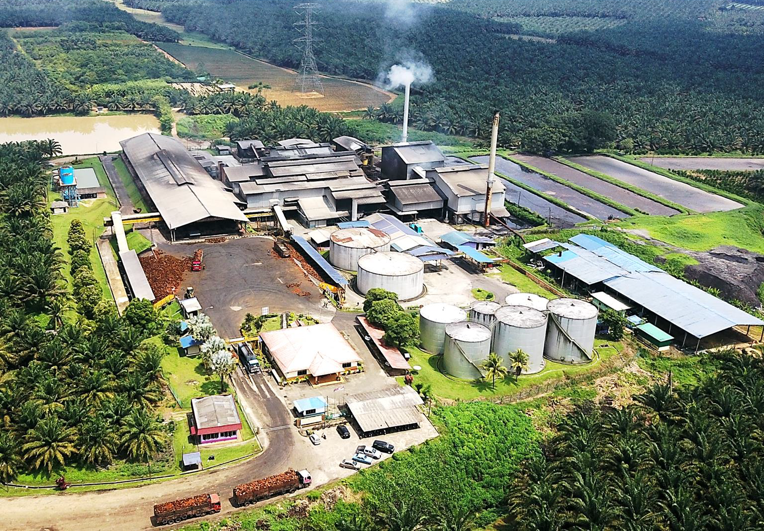 Projects - Tropical Alliance Group